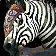 inv_horse3saddle006_base_zebra - Icon - World of Warcraft