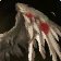 Folded Wing - Item - 12.1.0 PTR
