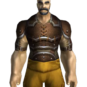 Cata Leather Chest Armor Item Appearances - Cataclysm Classic