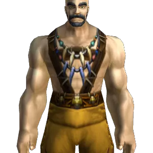 Cata Leather Chest Armor Item Appearances - Cataclysm Classic