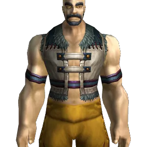 Cata Leather Chest Armor Item Appearances - Cataclysm Classic