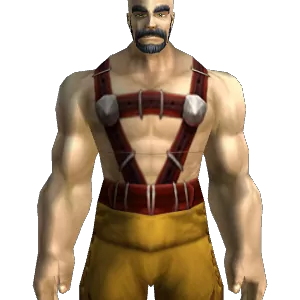 Cata Leather Chest Armor Item Appearances - Cataclysm Classic