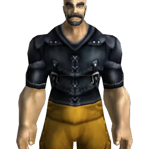 Cata Leather Chest Armor Item Appearances - Cataclysm Classic
