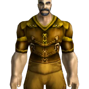 Cata Leather Chest Armor Item Appearances - Cataclysm Classic