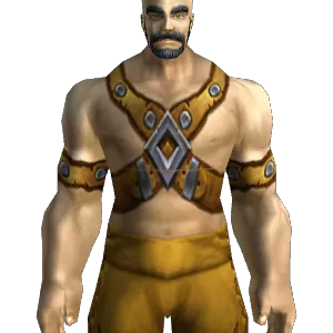 Cata Leather Chest Armor Item Appearances - Cataclysm Classic