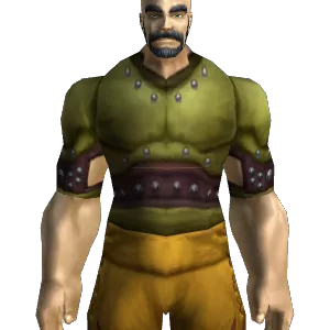 Cata Leather Chest Armor Item Appearances - Cataclysm Classic