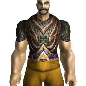 Cata Leather Armor Item Appearances - Cataclysm Classic