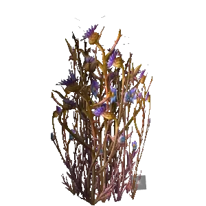 Bruiseweed - NPC - Cataclysm Classic