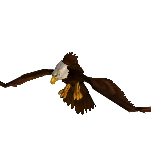 Mountain Eagle - NPC - Cataclysm Classic