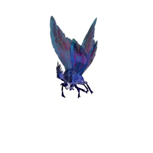 Cata Pet Species - Cataclysm Classic