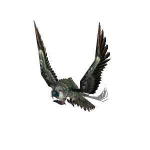 Tamable Bird of Prey - NPC - Cataclysm Classic