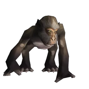 Monkey - Hunter Pet - Cataclysm Classic