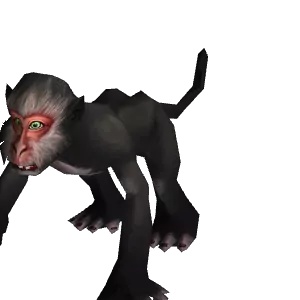Monkey - Hunter Pet - Cataclysm Classic