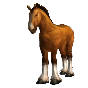 Darkmoon Pony - NPC - Cataclysm Classic