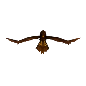 Eagle Spirit Transform Visual - NPC - Cataclysm Classic