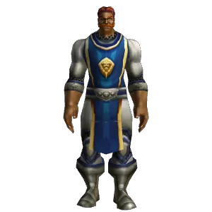Stormwind Infantry - NPC - Cataclysm Classic