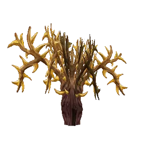 Goldthorn - NPC - Cataclysm Classic