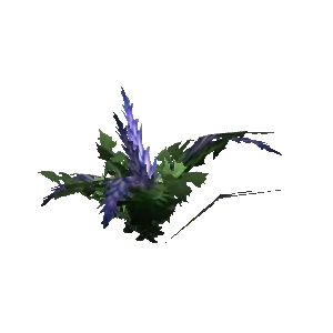 Dreamfoil - NPC - Cataclysm Classic