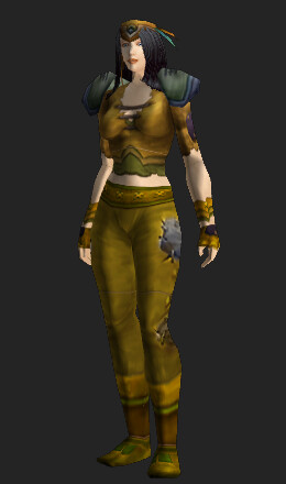 Fine Leather Armor - Transmog Set - Cataclysm Classic