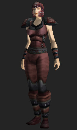 Smooth Leather Vestments - Transmog Set - Cataclysm Classic