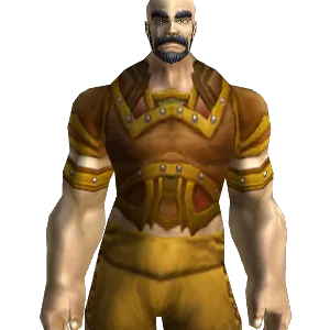 Classic Uncommon Leather Chest Armor Item Appearances - Classic World ...