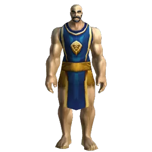 Classic Tabard Item Appearances - Classic World of Warcraft