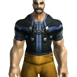 Classic Uncommon Leather Chest Armor Item Appearances - Classic World ...