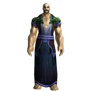 Novice's Robe - Item - Classic World of Warcraft