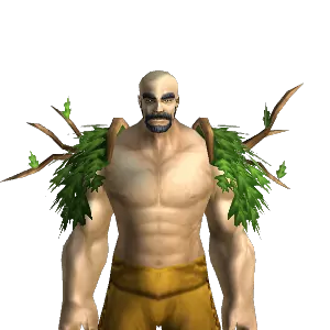 Classic Leather Shoulder Armor Item Appearances - Classic World of Warcraft