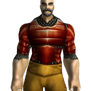 Classic Leather Chest Armor Item Appearances - Classic World of Warcraft