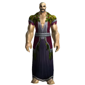 Novice's Robe - Item - Classic World of Warcraft