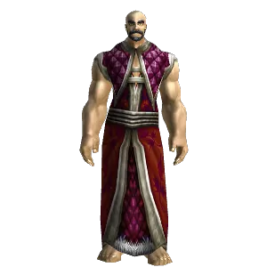 Classic Cloth Chest Armor Item Appearances - Classic World of Warcraft