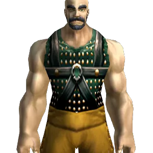 Classic Leather Chest Armor Item Appearances - Classic World of Warcraft