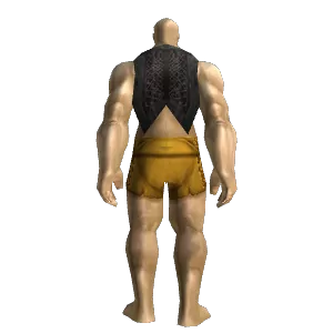 Silver-thread Regalia - Item Appearance Set - Classic World of Warcraft