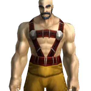 Classic Leather Chest Armor Item Appearances - Classic World of Warcraft