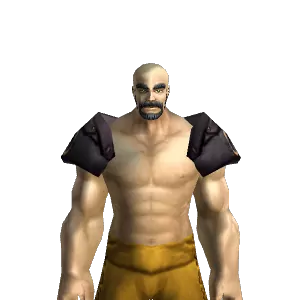 Classic Leather Shoulder Armor Item Appearances - Classic World of Warcraft