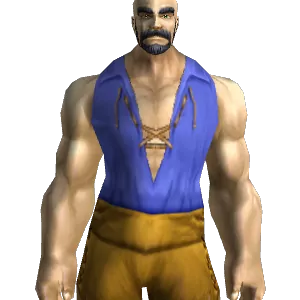 Classic Cloth Chest Armor Item Appearances - Classic World of Warcraft