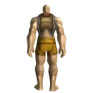 Patched Cloak - Item - Classic World of Warcraft