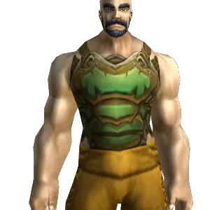 Classic Leather Chest Armor Item Appearances - Classic World of Warcraft