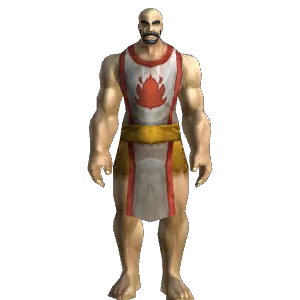 Classic Tabard Item Appearances - Classic World of Warcraft