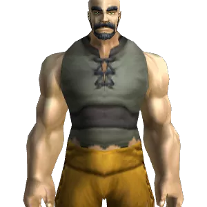 Classic Leather Chest Armor Item Appearances - Classic World of Warcraft