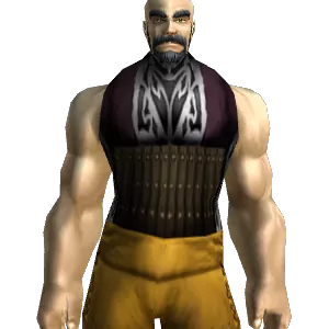 Silver-thread Regalia - Item Appearance Set - Classic World of Warcraft