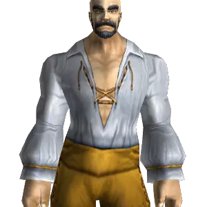 Silver-thread Regalia - Item Appearance Set - Classic World of Warcraft