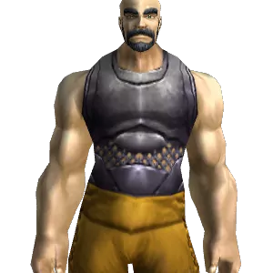 Classic Plate Chest Armor Item Appearances - Classic World of Warcraft