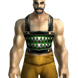 Classic Uncommon Leather Chest Armor Item Appearances - Classic World ...