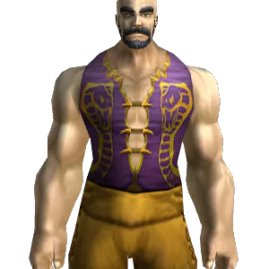 Classic Leather Chest Armor Item Appearances - Classic World of Warcraft