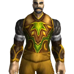 Classic Leather Chest Armor Item Appearances - Classic World of Warcraft