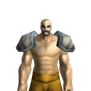 Classic Leather Shoulder Armor Item Appearances - Classic World of Warcraft