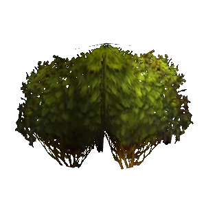 NPC - Classic World of Warcraft