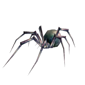 Spider - Hunter Pet - Classic World of Warcraft